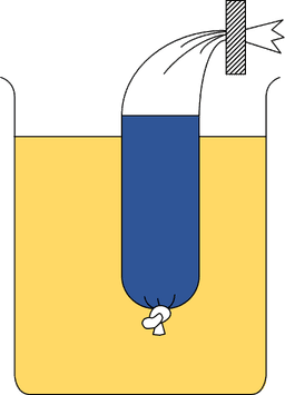 Diffusion through a selectively-permeable membrane: practical KS3 | Y7 ...