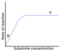Explaining effects of substrate concentration and temperature on enzyme ...