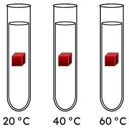 Diffusion through a permeable material: practical KS3 | Y7 Science ...