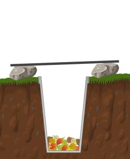 Ecological sampling of living organisms KS3 | Y8 Science Lesson ...