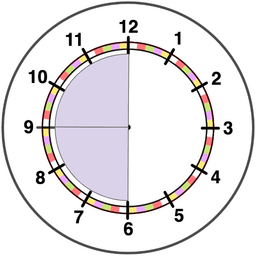 Estimate and compare the duration of events and tasks KS2 | Y3 Maths ...