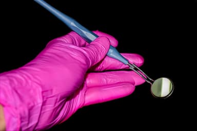 The functions of teeth KS2 | Y4 Science Lesson Resources | Oak National ...