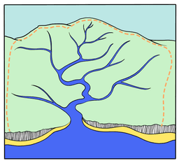 Lesson: Rivers of the world | Oak National Academy