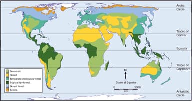 Lesson: The boreal forest biome | Oak National Academy