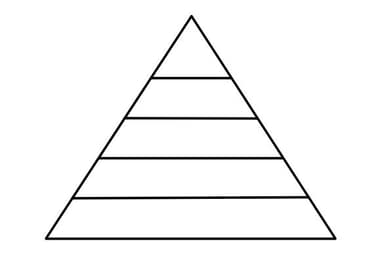 Predators and prey in a food chain KS2 | Y4 Science Lesson Resources ...