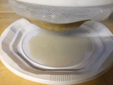 How nutrients and water are transported within humans KS2 | Y6 Science ...