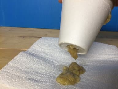 Presenting the human digestive system KS2 | Y4 Science Lesson Resources ...