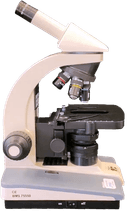 Microscopy of human blood cells and blood vessels Higher AQA KS4 | Y10 ...