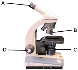 Light microscopy: observing and identifying microorganisms Higher OCR ...