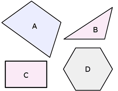 Construct quadrilaterals with and without parallel and perpendicular ...