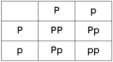 Models of single-gene inheritance: family tree diagrams Higher AQA KS4 ...