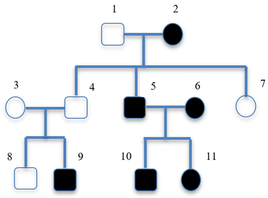 Models of single-gene inheritance: family tree diagrams Higher AQA KS4 ...