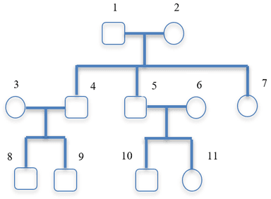 Models of single-gene inheritance: family tree diagrams Foundation OCR ...