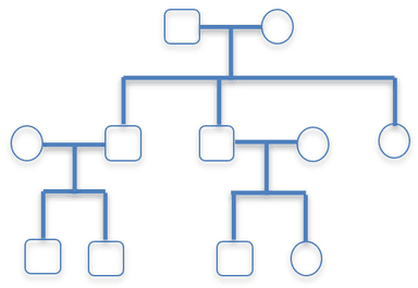 Models of single-gene inheritance: family tree diagrams Foundation OCR ...