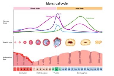Using hormones to treat infertility Higher AQA KS4 | Y11 Biology Lesson ...