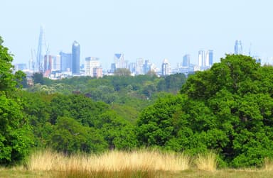 Changing environments: land development and deforestation KS2 | Y4 ...