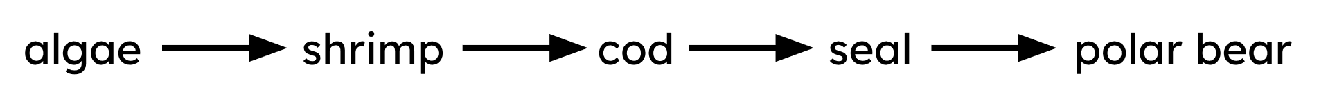 Transfers of biomass between trophic levels Higher AQA KS4 | Y11 ...