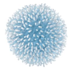 Immunity and vaccination Foundation AQA KS4 | Y11 Combined science ...