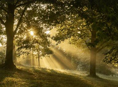 Weather and the seasons: summer KS1 | Y1 Geography Lesson Resources ...