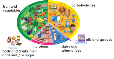 Nutrition from food KS2 | Y3 Science Lesson Resources | Oak National ...