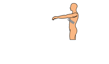Different joints and their movements AQA KS4 | Y10 Physical education ...