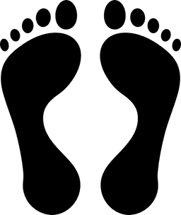 Reducing our carbon footprint (non-statutory) KS2 | Y6 Science Lesson ...