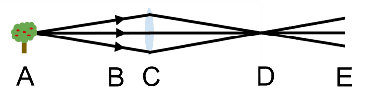 Focusing light KS3 | Y8 Science Lesson Resources | Oak National Academy