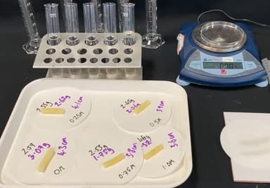 Effect of osmosis and sugar concentration on the mass of plant tissue ...
