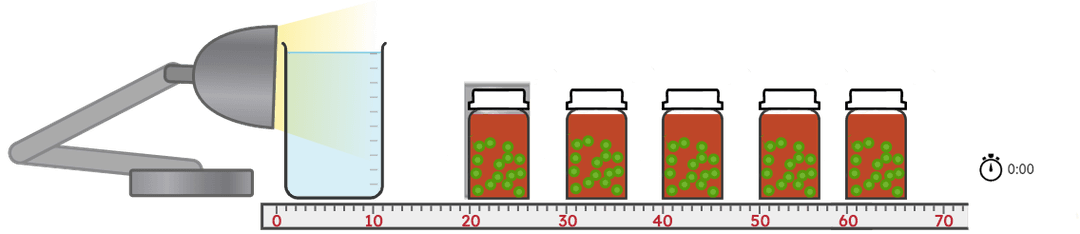 The effect of light intensity on rate of photosynthesis in algae ...