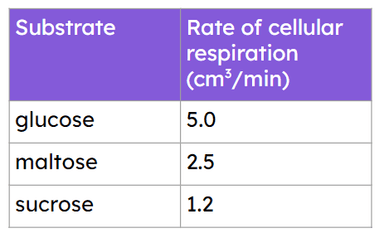 Lesson: Explaining the effect of different substrates on the rate of ...