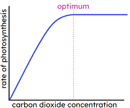 Factors affecting the rate of photosynthesis Foundation AQA KS4 | Y11 ...