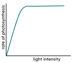 Photosynthesis and limiting factors Higher OCR KS4 | Y11 Biology Lesson ...