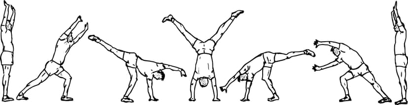 Planes of movement and axes of rotation AQA KS4 | Y10 Physical ...