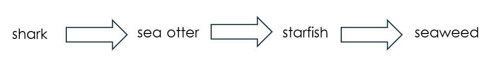 Introduction to food chains KS1 | Y2 Science Lesson Resources | Oak ...