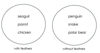 Animal structure KS1 | Y1 Science Lesson Resources | Oak National Academy