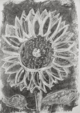 Colour mixing for the garden KS1 | Y1 Art and design Lesson Resources ...