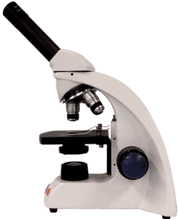 Observing mitosis in plant cells using a light microscope (including ...